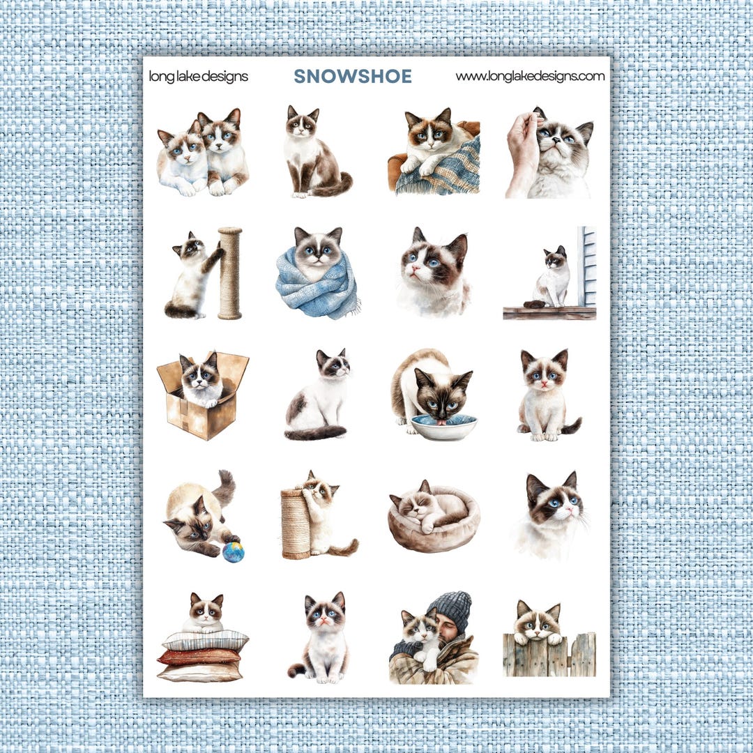 Snowshoe Cat Sticker Sheet, Laminated Weatherproof 20-count Cute Cat ...