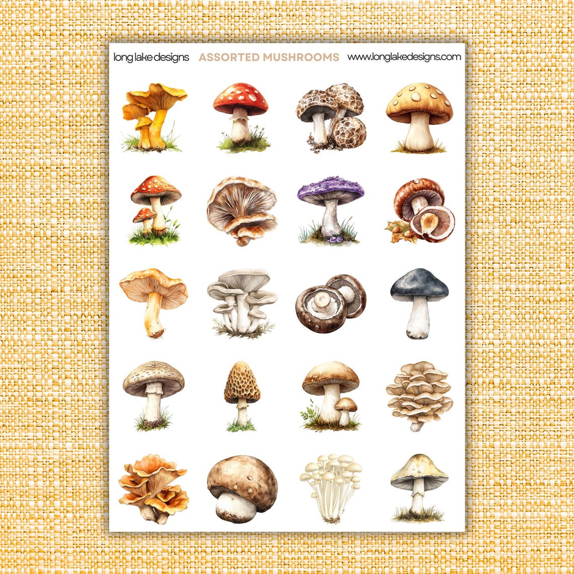 Assorted Mushrooms Sticker Sheet, 20 Food Laminated Weatherproof ...
