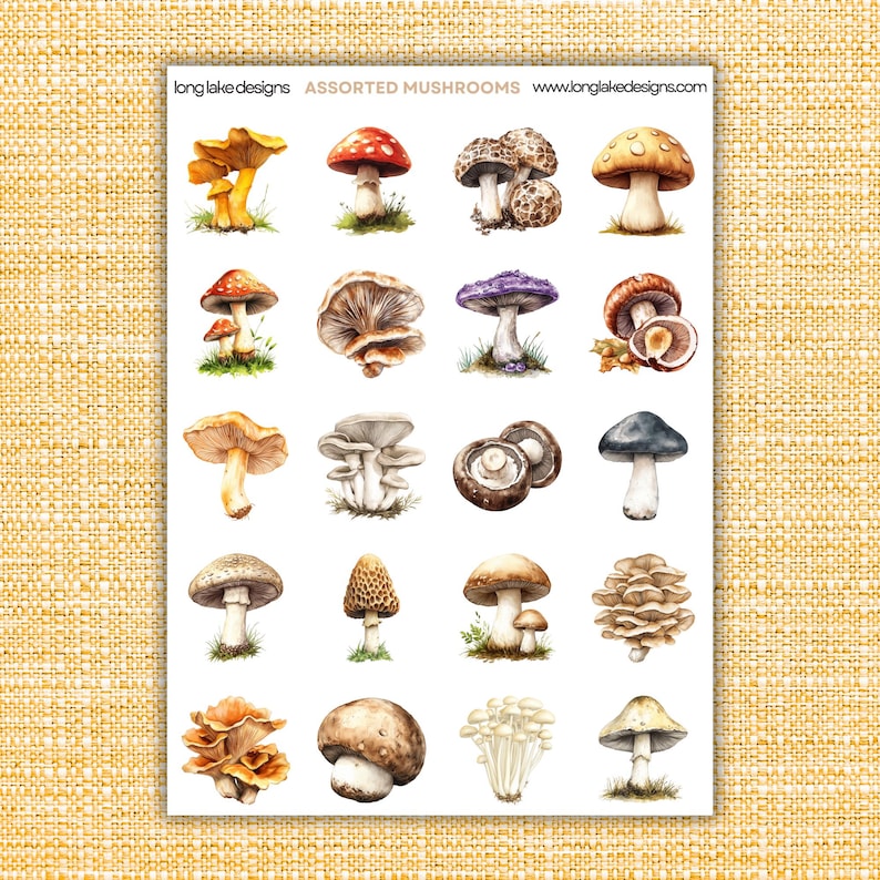 Assorted Mushrooms Sticker Sheet, 20 Food Laminated Weatherproof ...