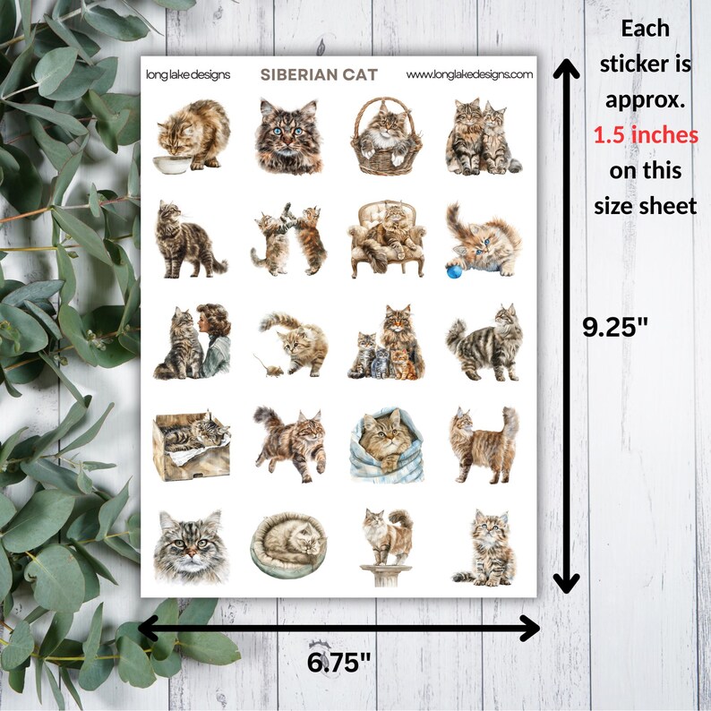 Siberian Cat Sticker Sheet, Weatherproof Laminated 20 Cute Cat Decals ...