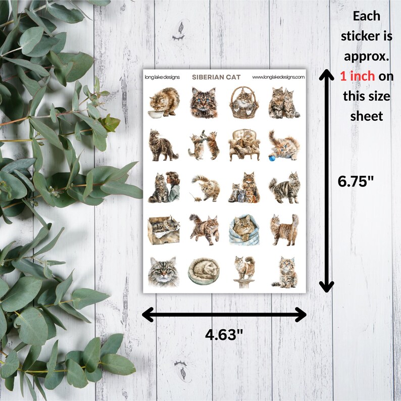 Siberian Cat Sticker Sheet, Weatherproof Laminated 20 Cute Cat Decals ...