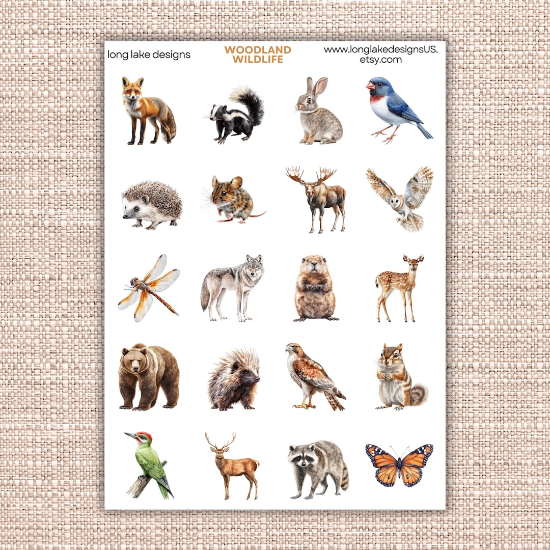 Woodland Wildlife Sticker Sheet, Durable Laminated Weatherproof , 20 ...