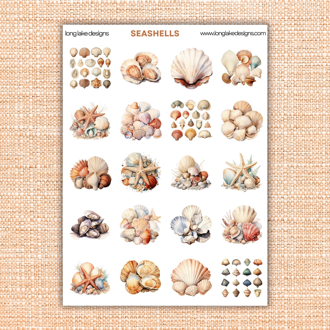 Seashell Sticker Sheet, Laminated Weatherproof Stickers for ...