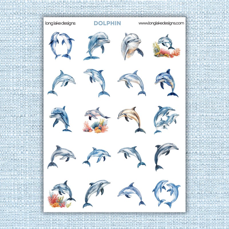 Dolphin Sticker - Etsy