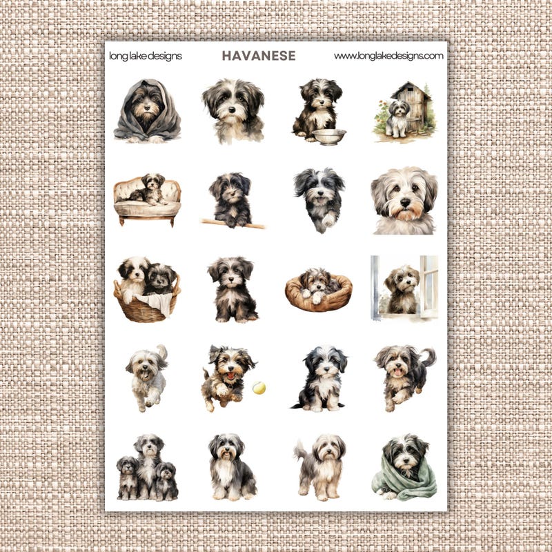 Havanese Stickers - Etsy