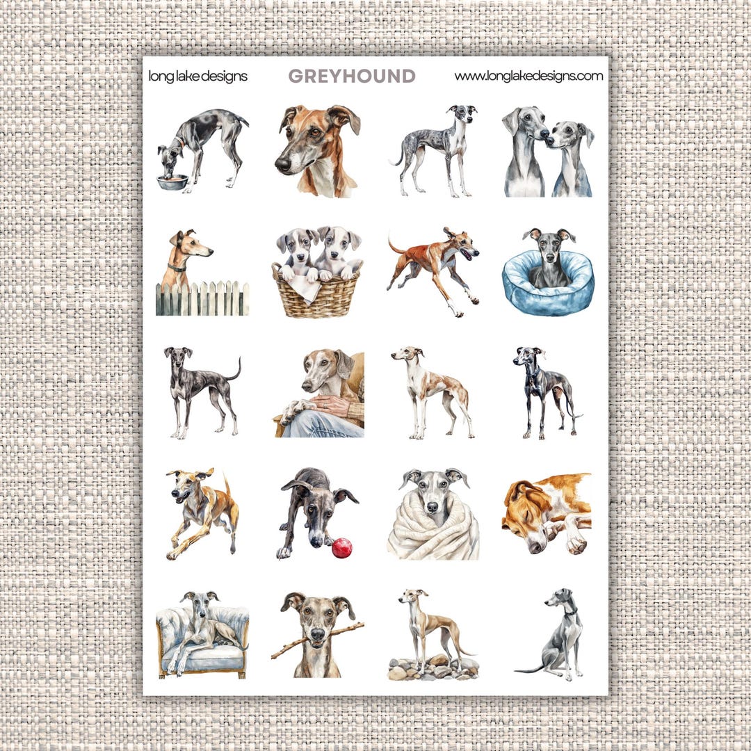 Greyhound Dog Sticker Sheet, Weatherproof Laminated Vinyl, Perfect for ...