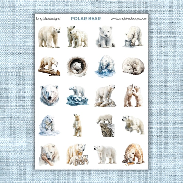 Polar Bear Decals - Etsy