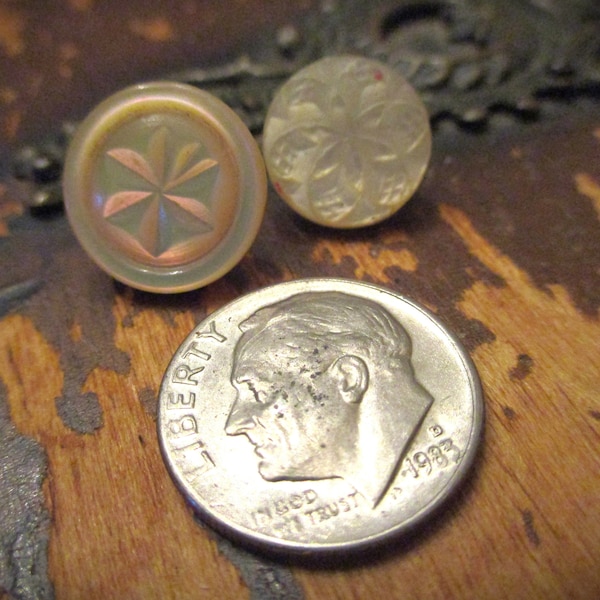 Carved Mother of Pearl Buttons - Etsy