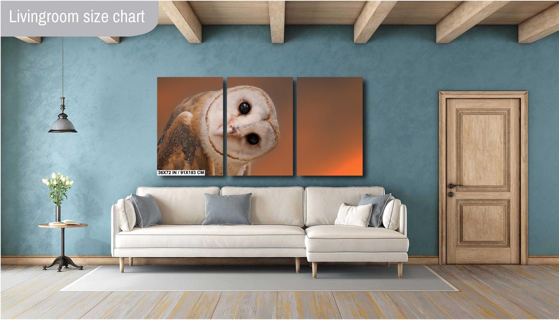 American Barn Owl Photography Print: Sunset Wildlife Wall Art - Etsy
