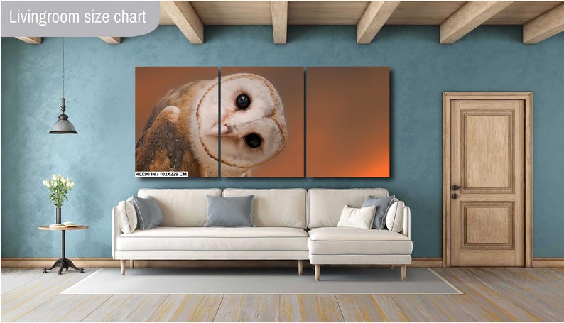 American Barn Owl Photography Print: Sunset Wildlife Wall Art - Etsy