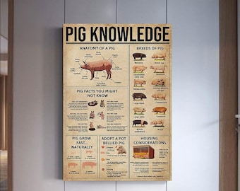 Pig Breeds Poster - Etsy