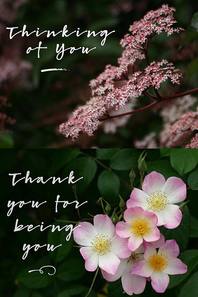 Printable Floral Journal Cards Inspirational Quote Bible - Etsy