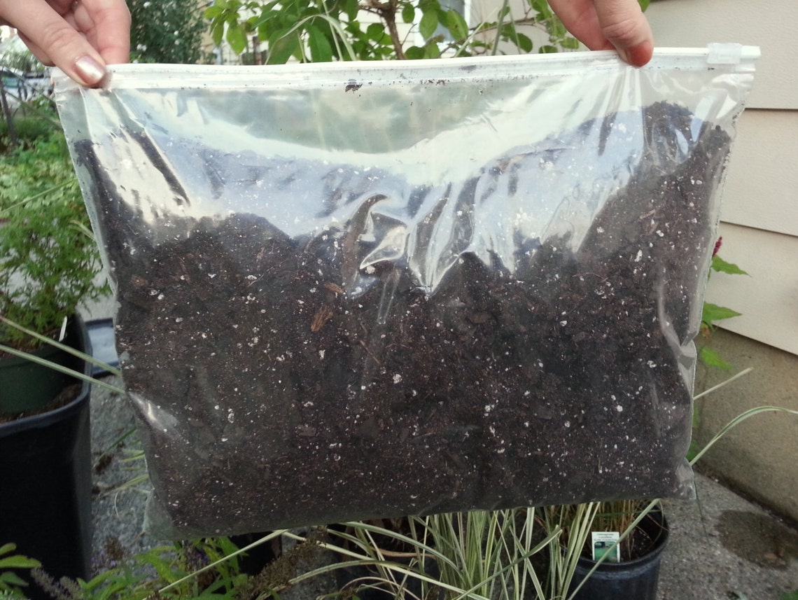 10 Gallons Bulk Bag PREMIUM Potting Soil Mix: Great for Succulents ...