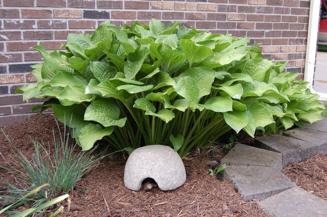 Hypertufa Toad House, Toad Abode, Frog Home, Handmade Outdoor Decor ...