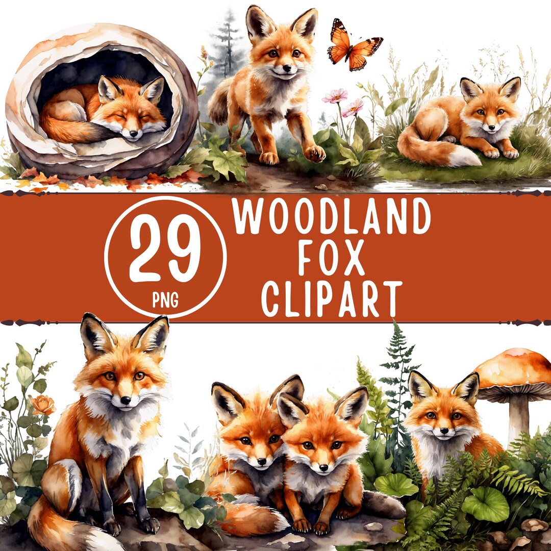 Woodland Fox Clipart Bundle, 29 PNG Baby Fox Watercolor Art (digital ...