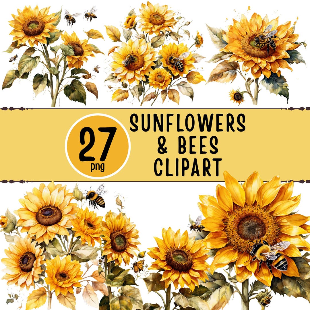 Sunflowers & Bees Clipart – 27 Watercolor Sunflower Pngs With Honey ...