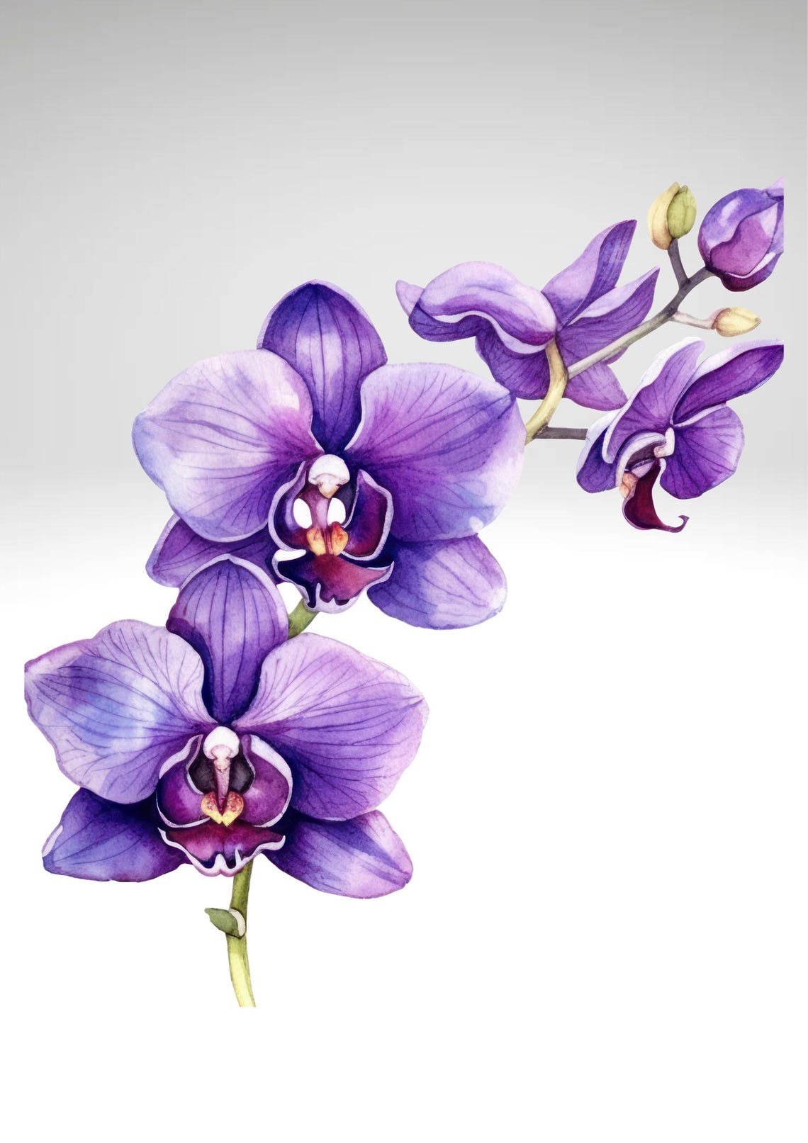 6 Printable Orchids - Etsy