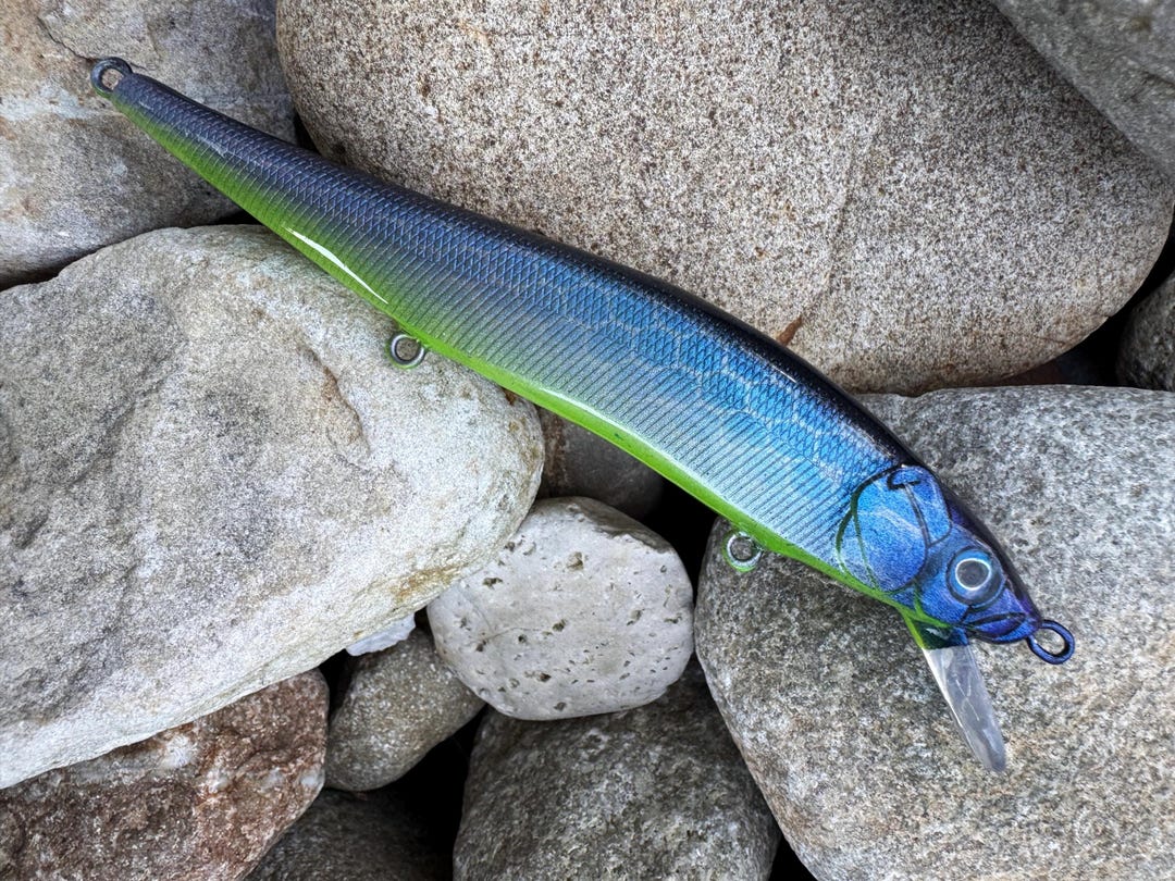 Moon Shiner Jerkbait Custom Painted Fishing Lure - Etsy