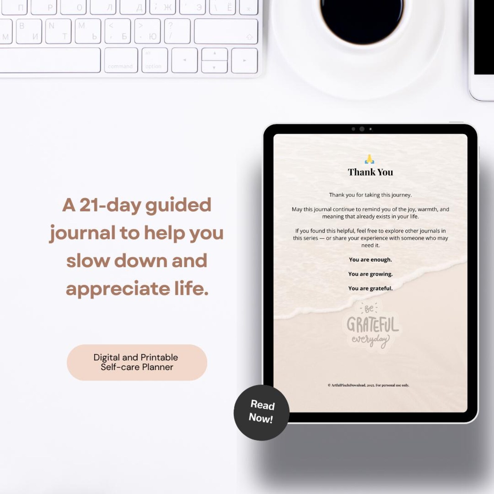 21-day Gratitude Journal: Daily Reflection & Self-care (printable PDF ...