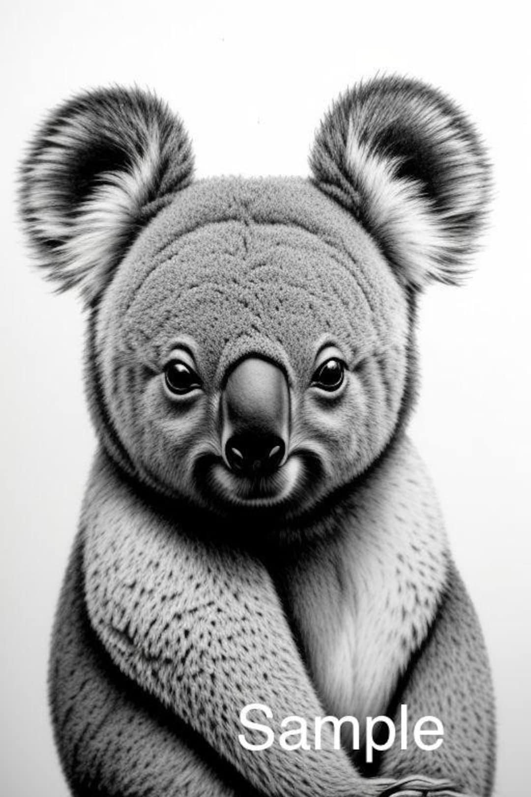 KOALA PRINT - Etsy