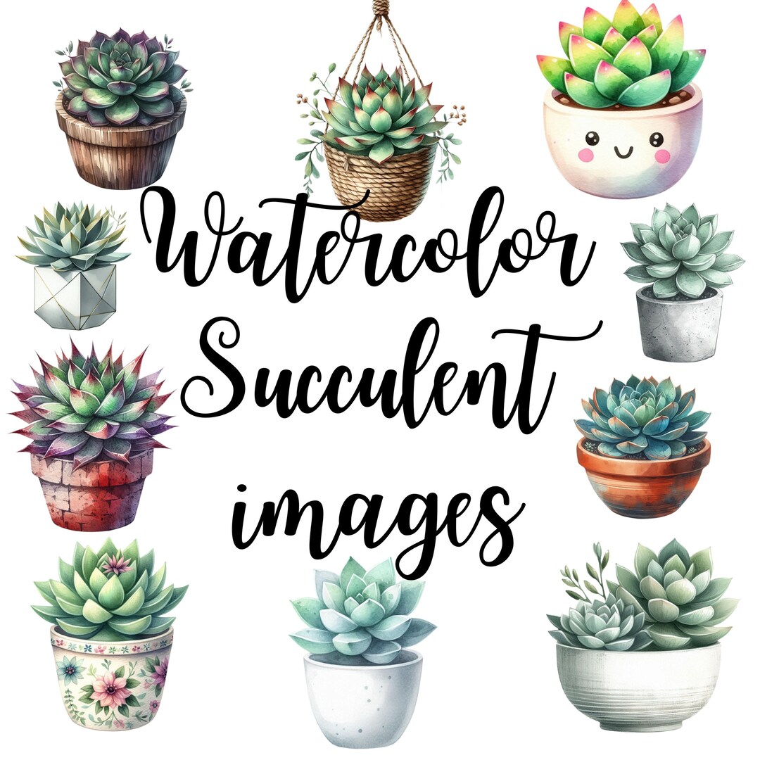 Watercolor Succulent Clipart PNG – Cute and Lush Cactus, Aloe ...