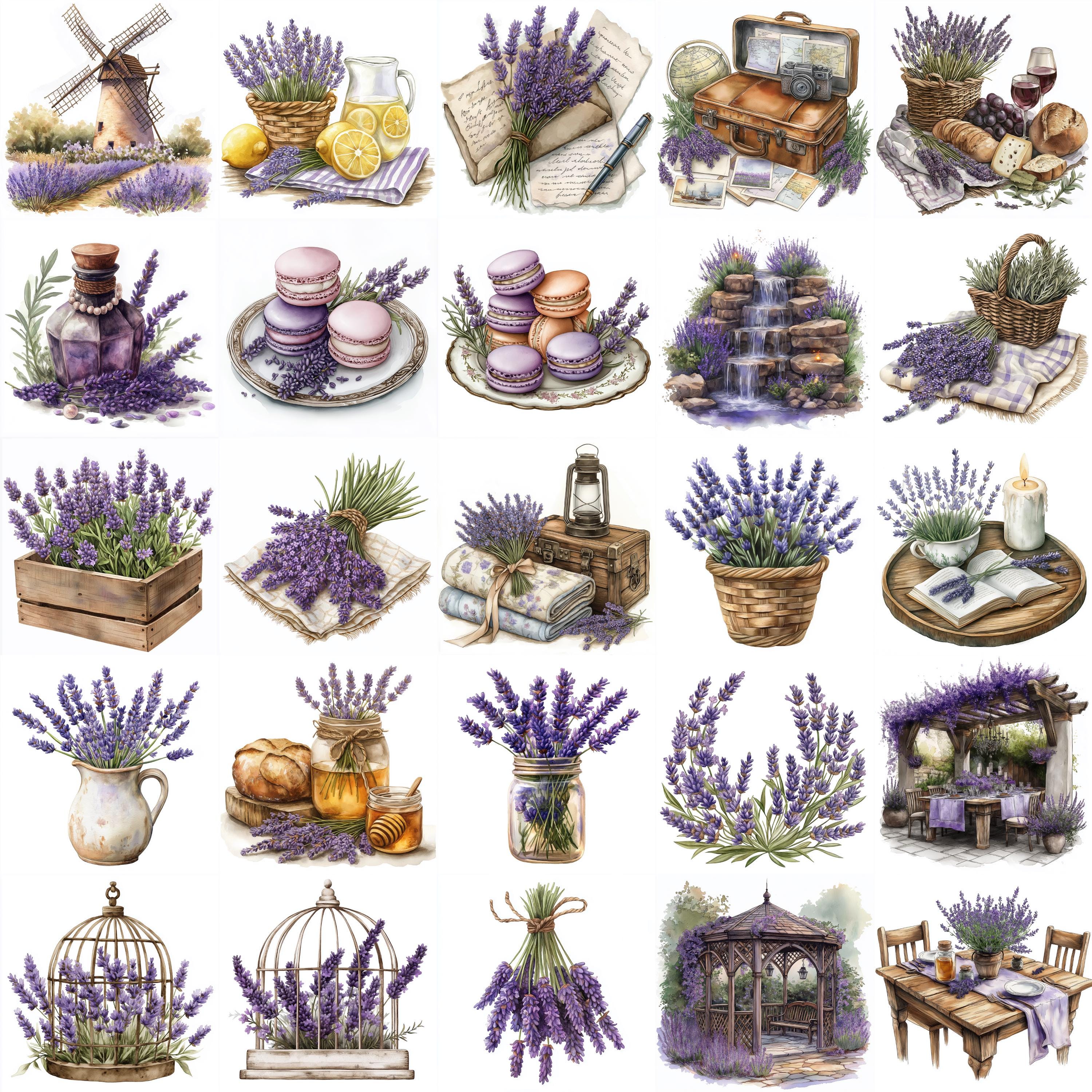 Watercolor Lavender Clipart Bundle for Spring Crafting, 70 Png Files ...