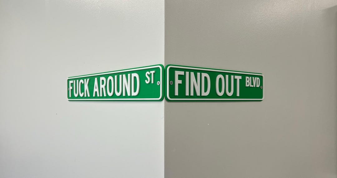 Fuck Around St. & Find Out Blvd (FAFO) 3D Printed Street Sign Set - Etsy