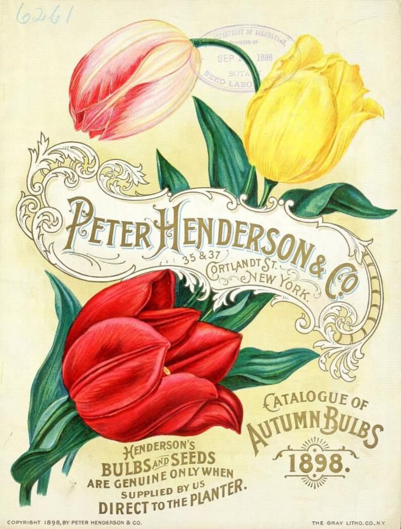 Fully Bloomed Black Tulip Bead Cap 20mm Wide Black Antiqued - Etsy