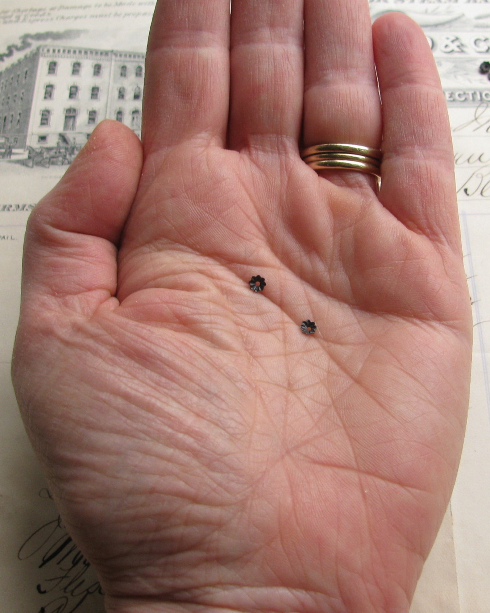 Itty Bitty Black Bead Caps Tiny Brass 3mm Bead Cap Mini Bead | Etsy