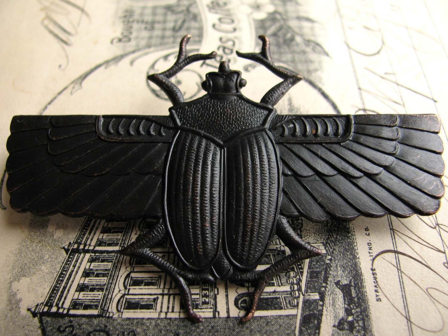 Egyptian Scarab Beetle