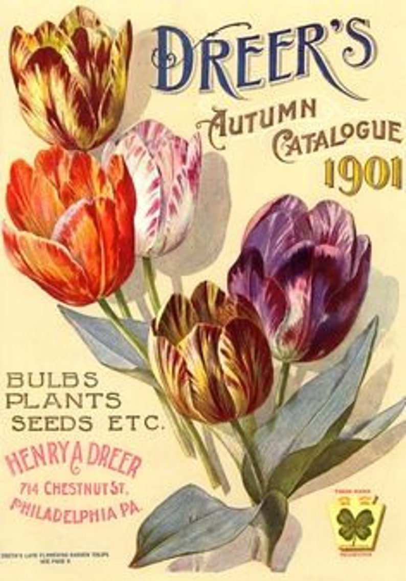 Small Black Tulip Bead Cap Black Antiqued Brass 4 Black - Etsy