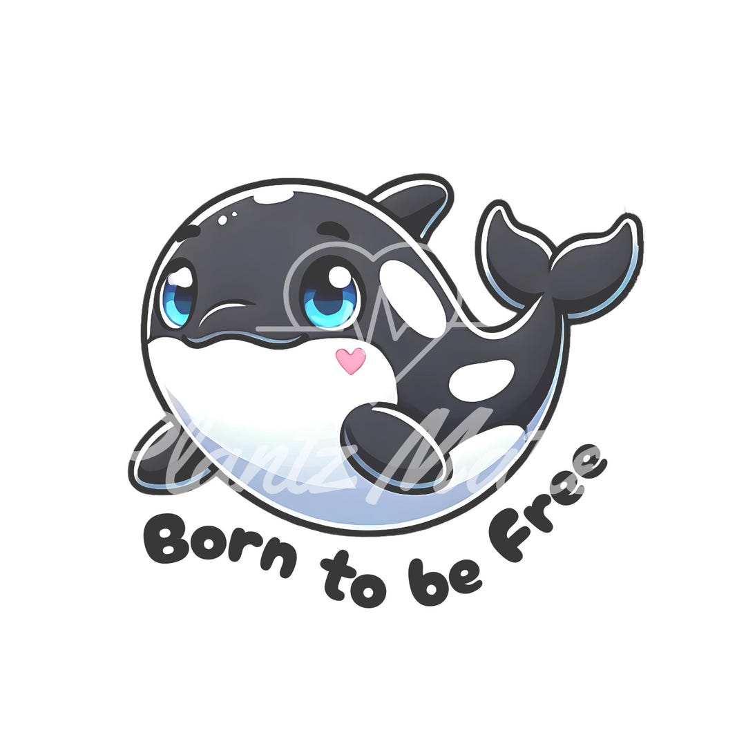 Whale Sticker Kawaii Orca Sticker Kawaii Sticker 1 X Cute Sticker Fun ...