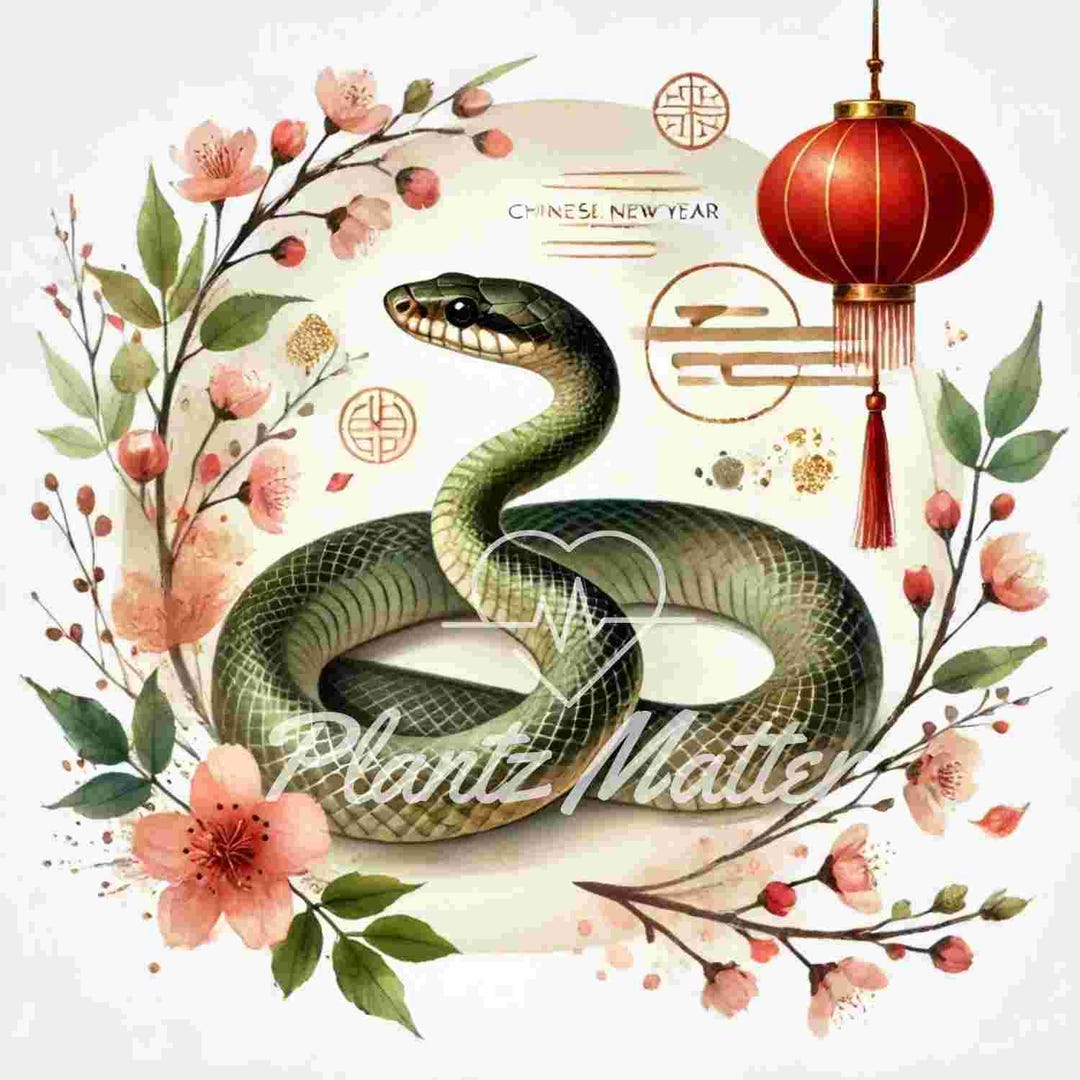 Year of the Snake PNG - Snake Chinese New Year | Year of the Snake ...