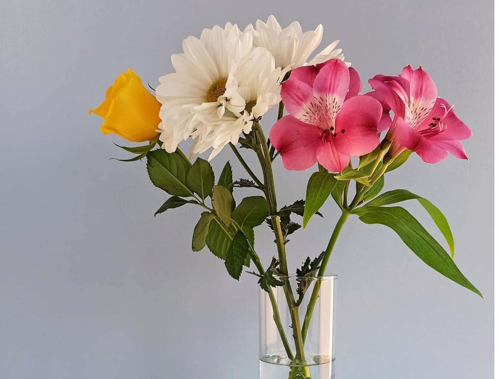 Egyptian Essential Oils ROSE From Land of Pharaohs - Etsy