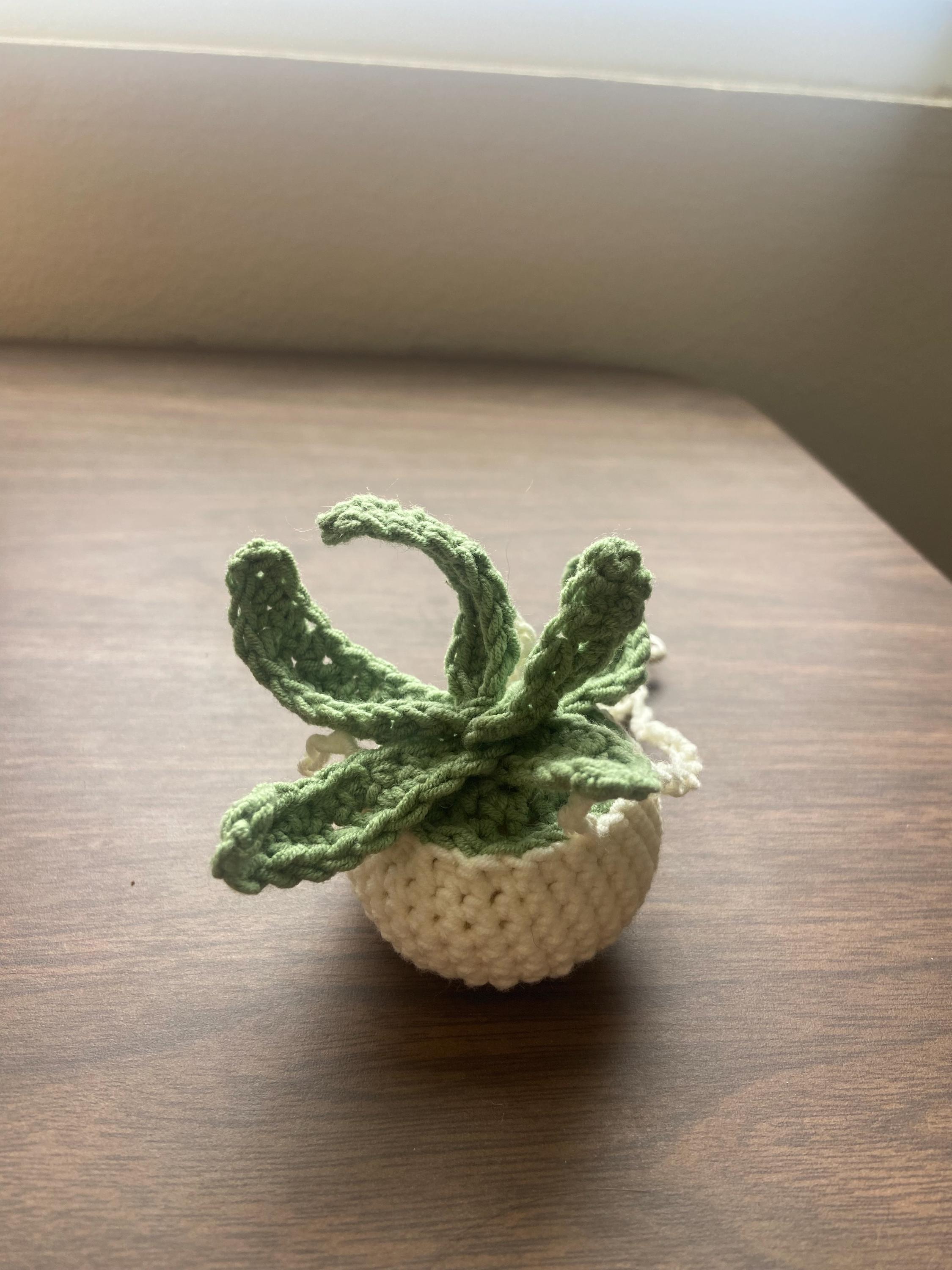 Hanging Plant Keychain, Crochet Plant Accessory, Handmade Gift for ...