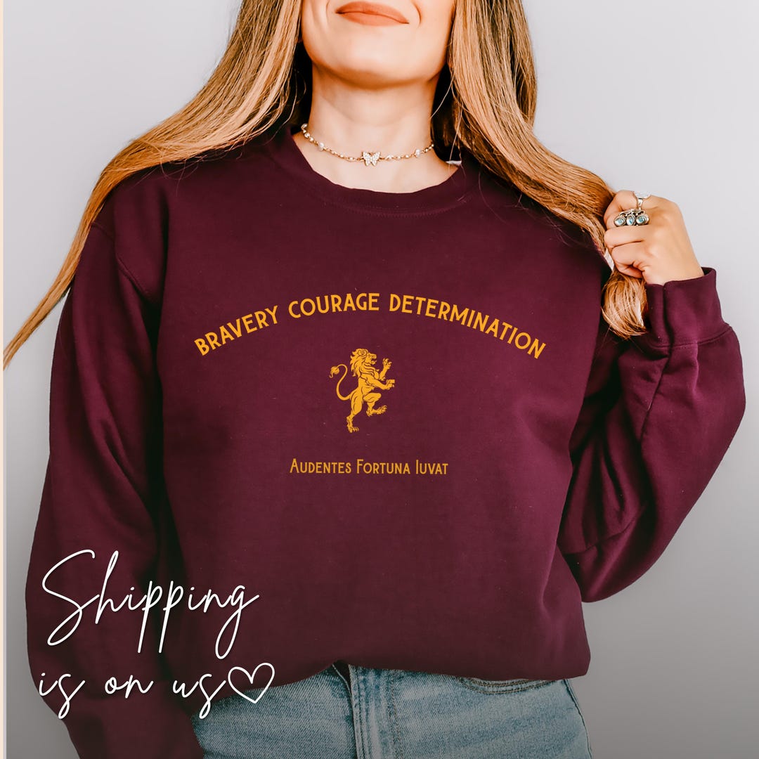 Wizard School HP House Mottos Universal Shirt Theme Park Wizarding ...