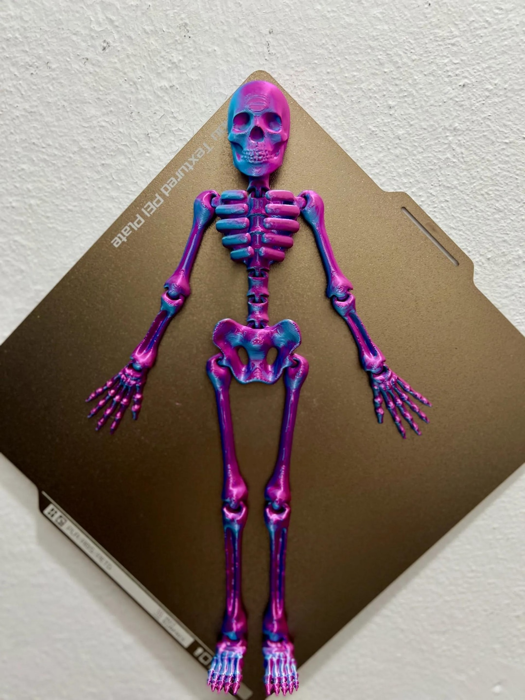 Cute Flexi Human Skeleton in Situ Printing Skeleton - STL for 3D ...