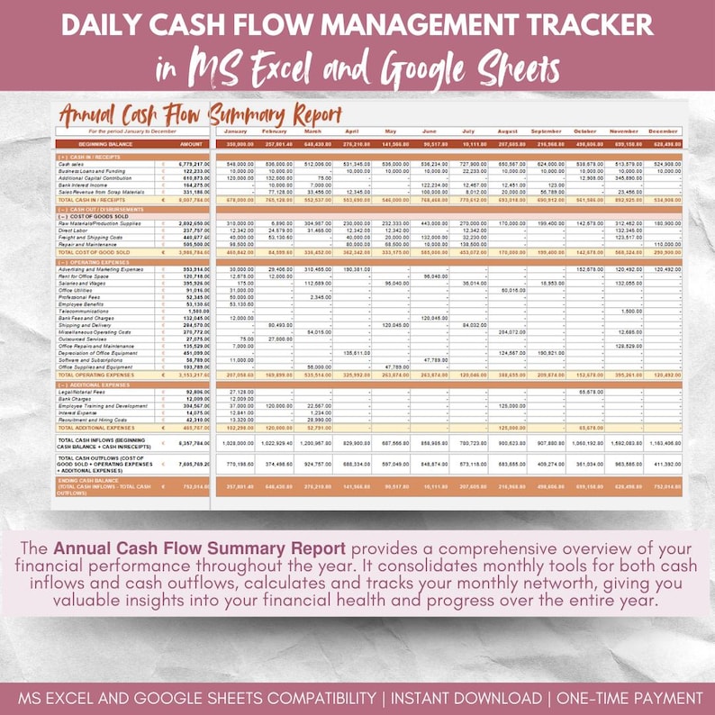 Daily Cash Flow Tracker: Business Finance Management (MS Excel & Google ...