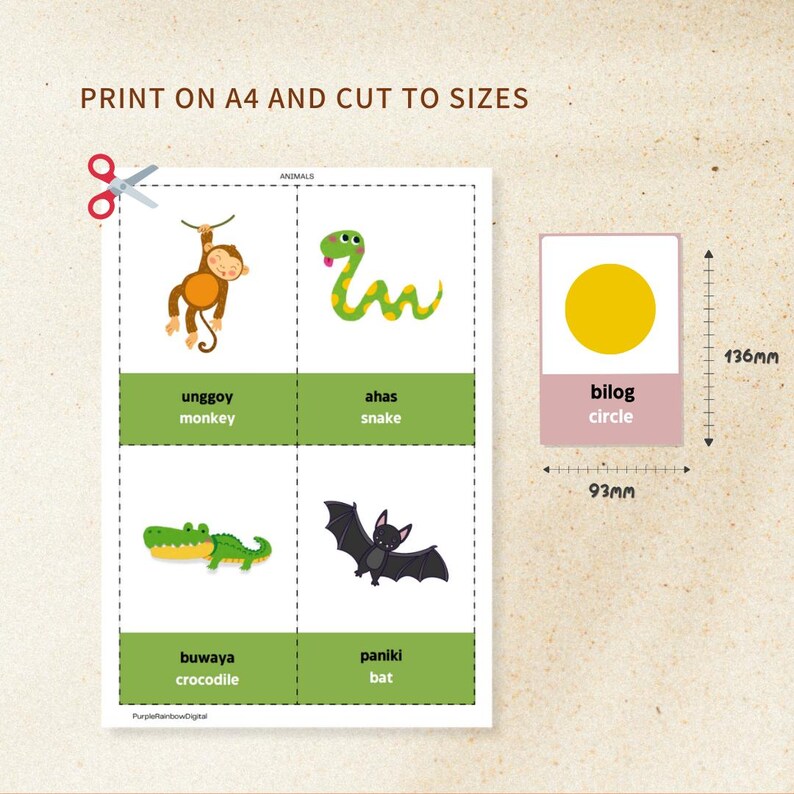 350+ Filipino Flashcards Mega Bundle, Visual Language Learning Tool ...