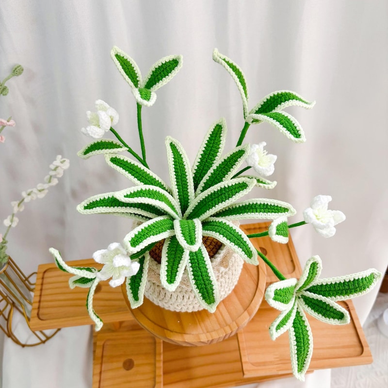 Desk Plant Friend - Etsy UK