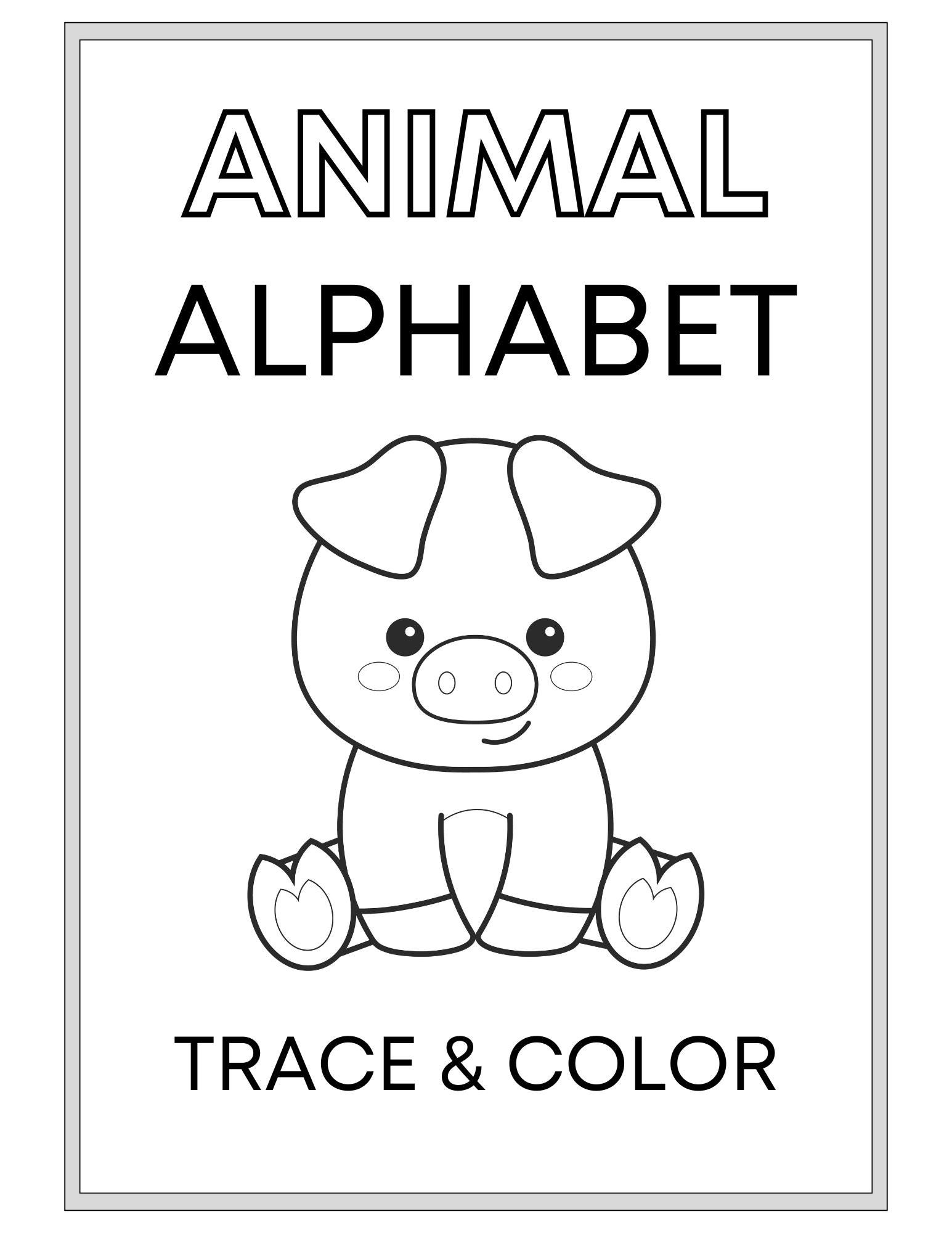Kids Animal Alphabet Coloring Book - Etsy