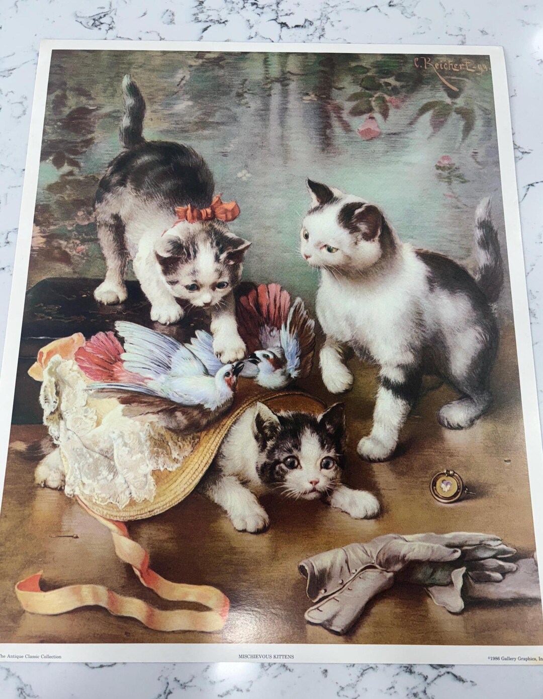 Vintage Kitten Print: Carl Reichert Victorian Animal Portrait (21x17 Inches) - Etsy