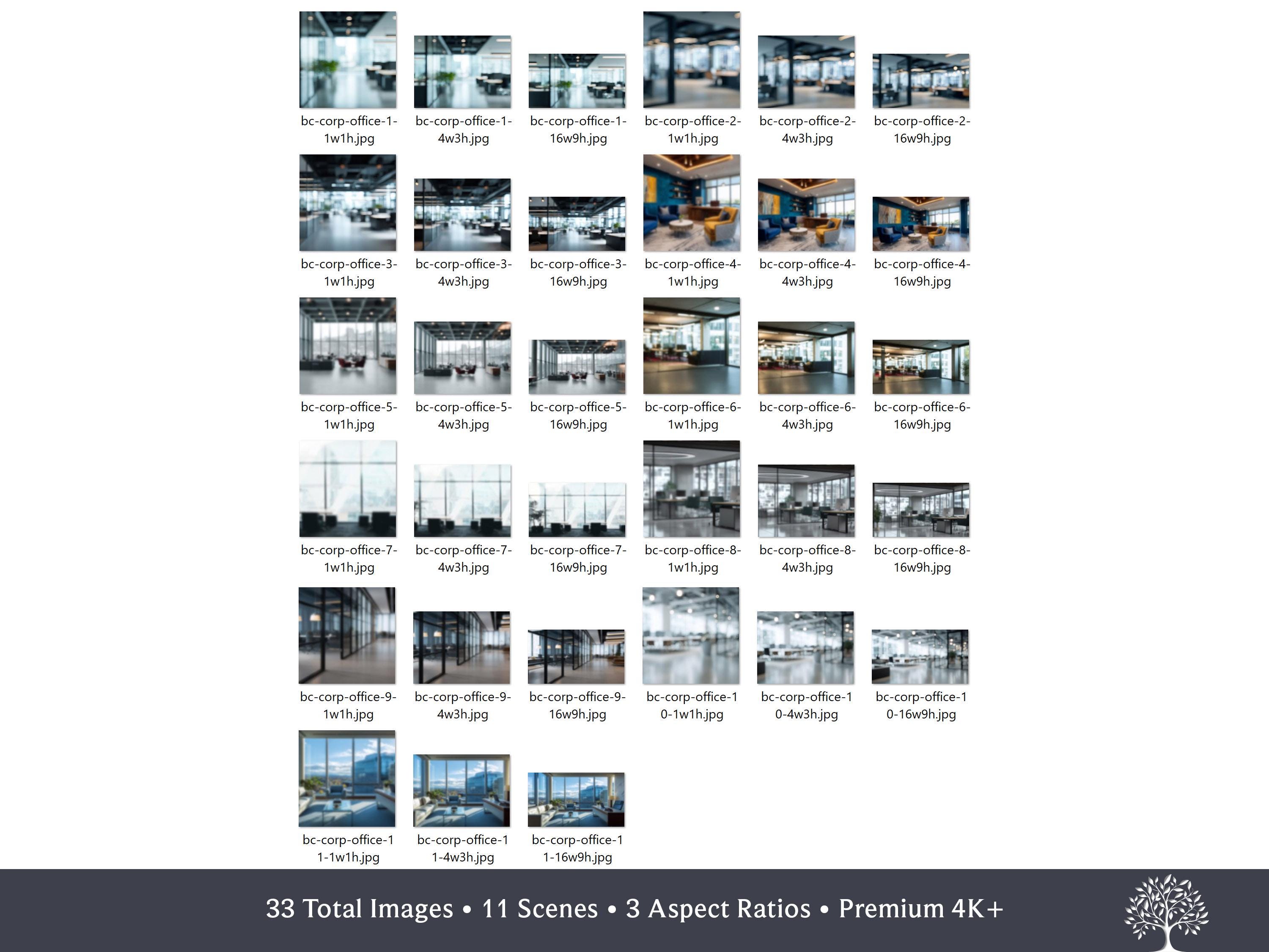 Corporate Office Backgrounds | Zoom Video Call Backdrop (digital ...
