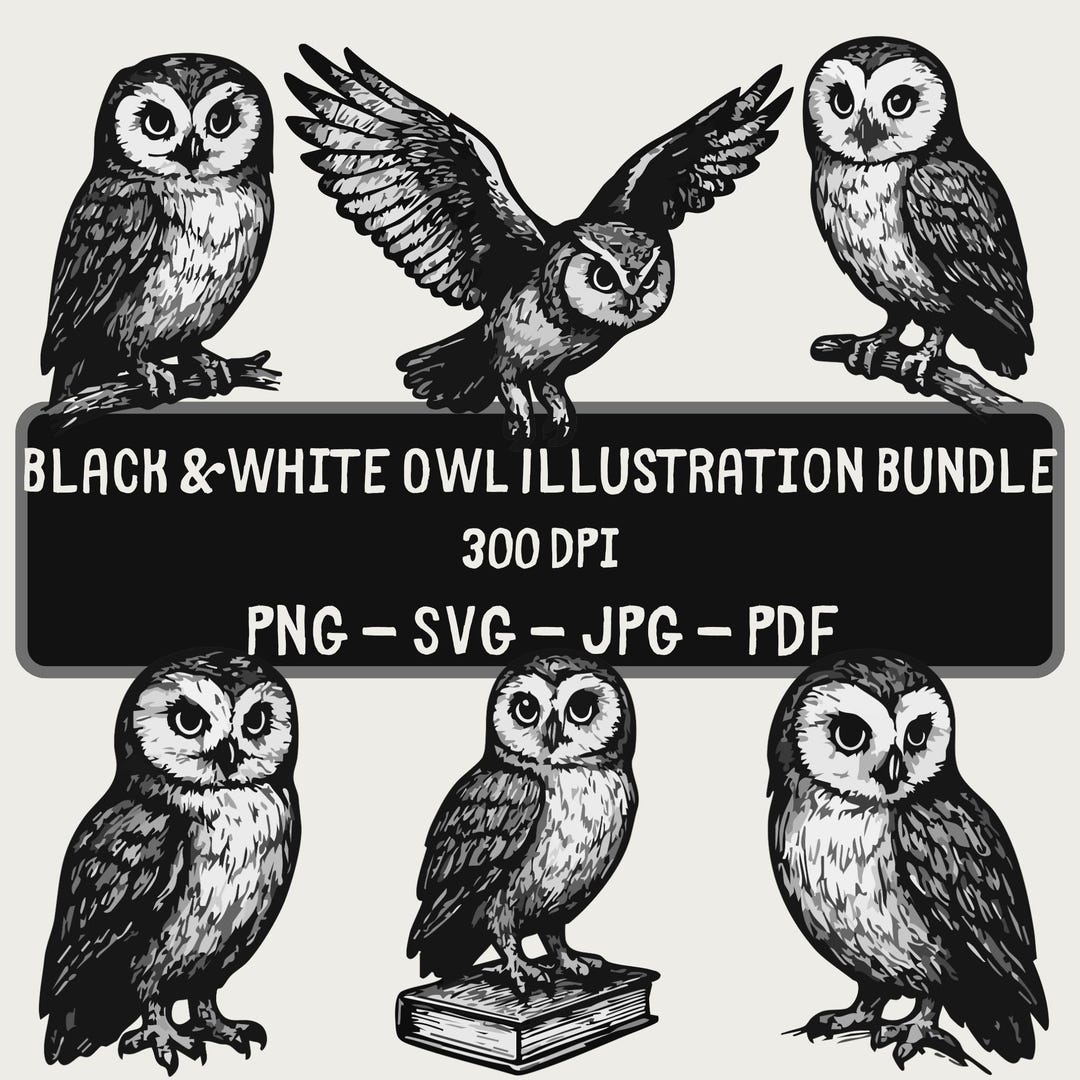 Black and White Owl Clipart Bundle | Owl Silhouette Line Art PNG SVG ...