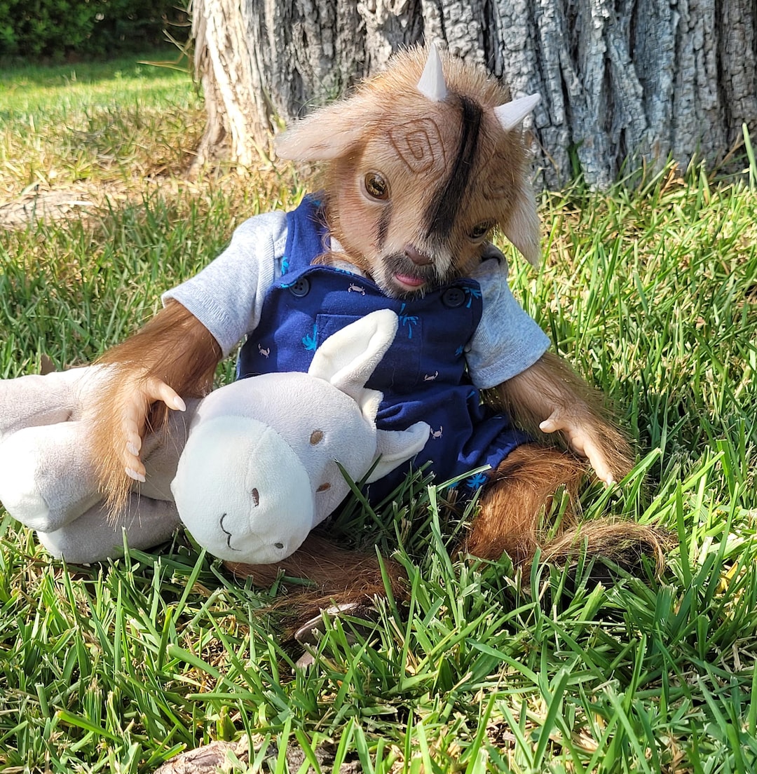 Custom Reborn Goat - Etsy