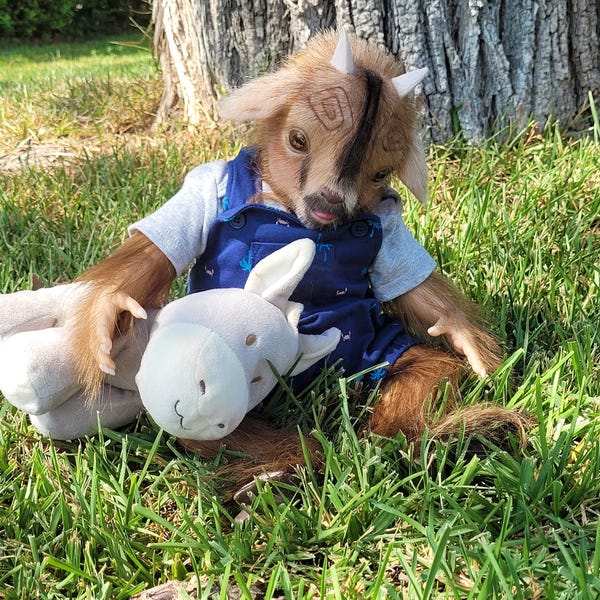 Custom Reborn - Etsy