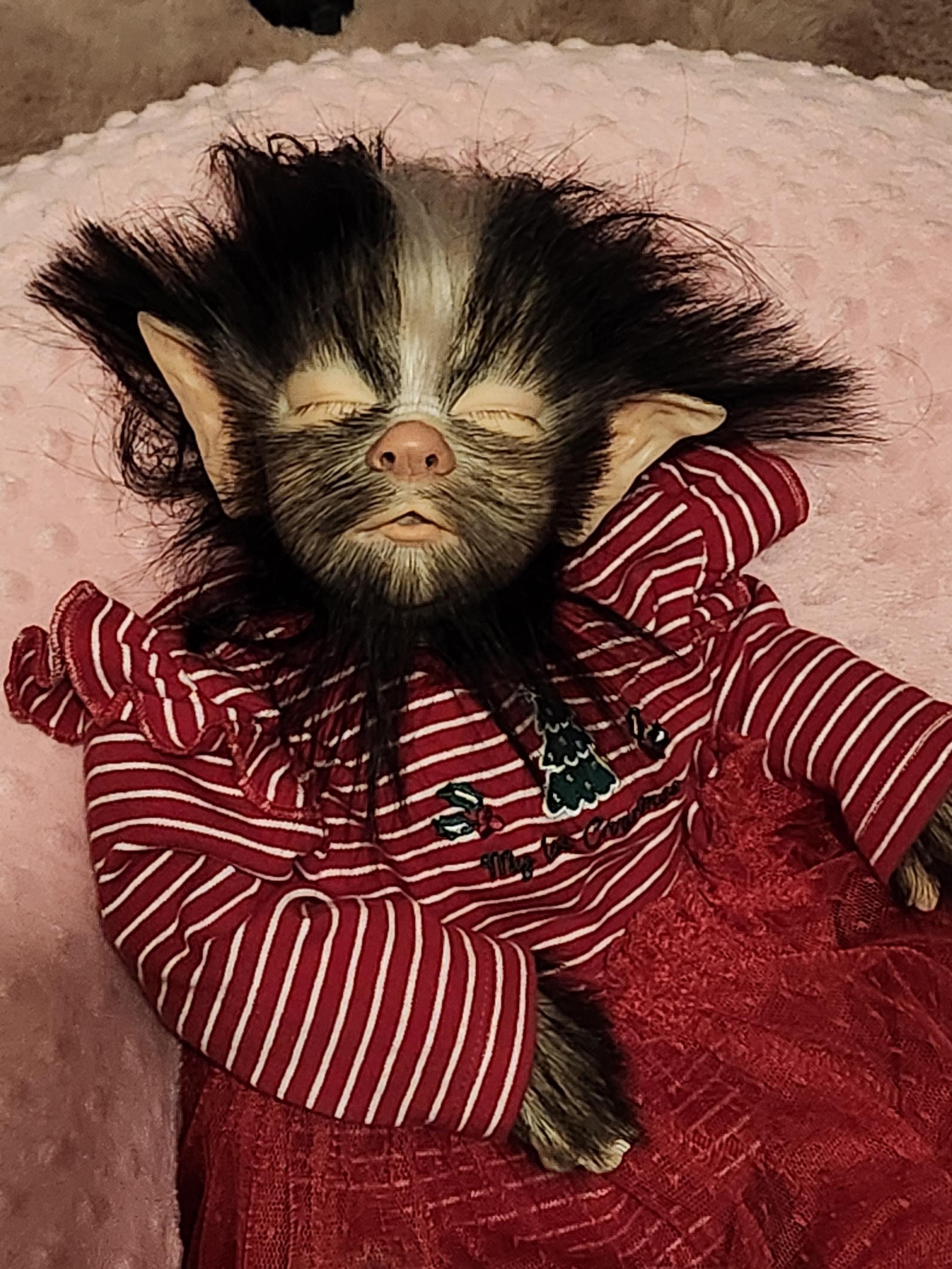 Adorable Sleeping Lycan Cub,alternative Reborn Doll - Etsy