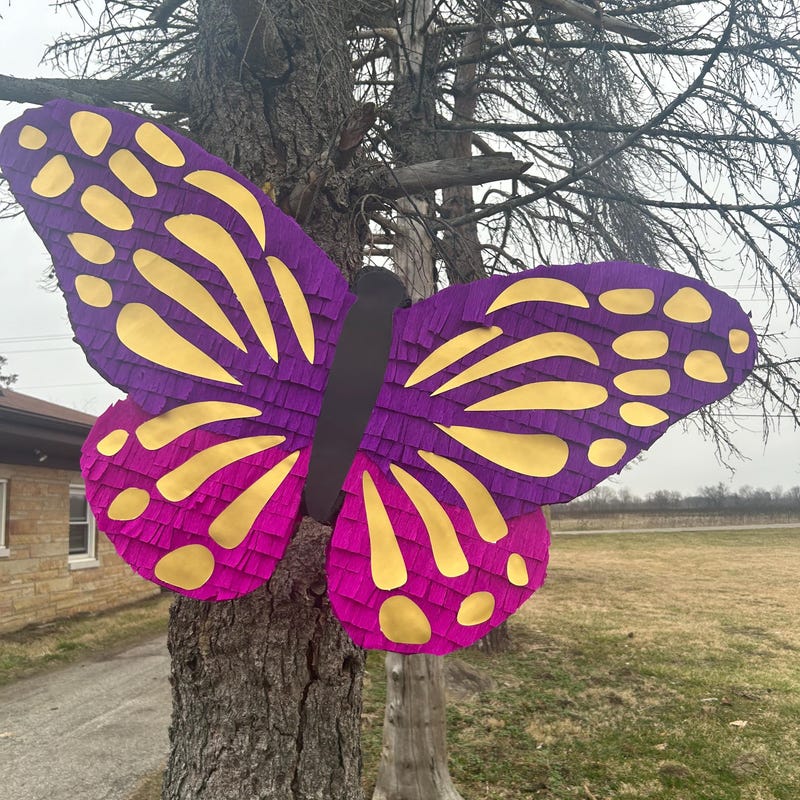 Butterfly Pinata - Etsy