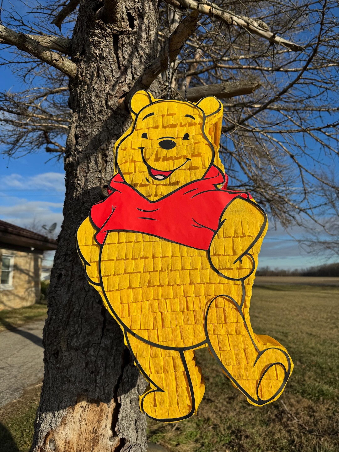 Pooh Bear Piñata | Winnie the Pooh Birthday Piñata | Classic Pooh Party ...