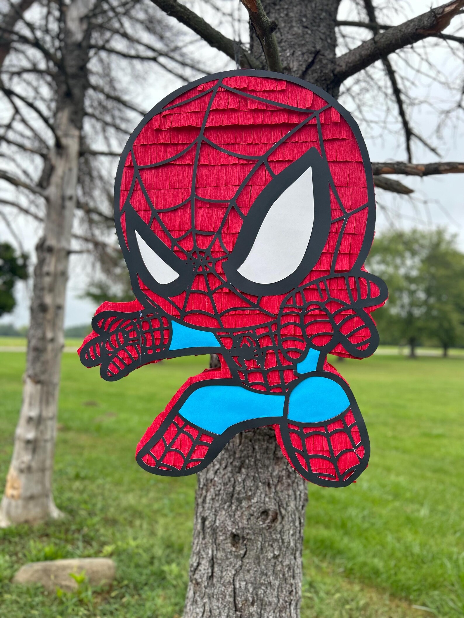 Custom Spider-man Piñata | Superhero Birthday Party Decor - Etsy